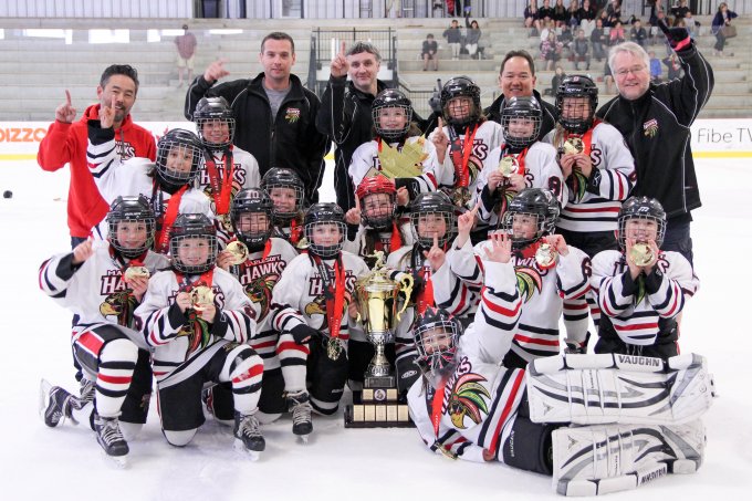 Maplesoft Hawks Hockey Organization powered by GOALLINE.ca